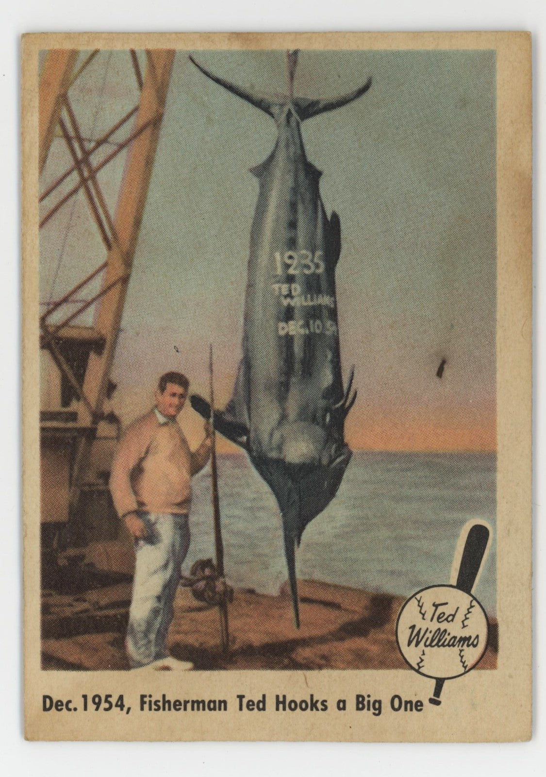 Ted Williams 1959 Fleer #54. "Dec. 1954, Fisherman Ted Hooks a Big One ...